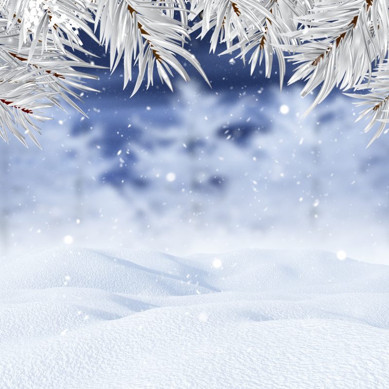 Winter Photo Backdrops - JW Specialties